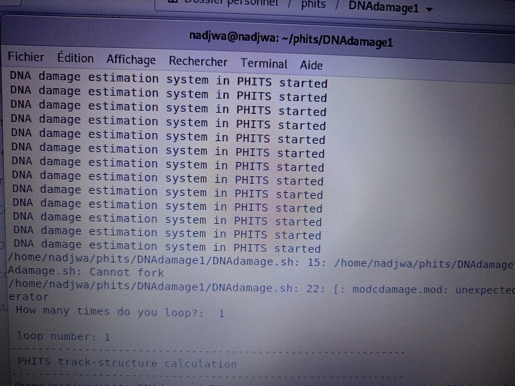 DNAdamage folder - Questions - PHITS Forum
