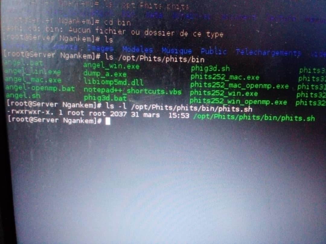 error message in Linux (Centos 7) - Questions - PHITS Forum